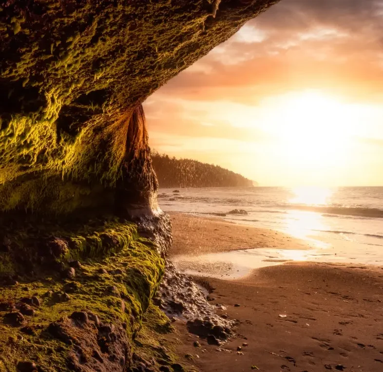 Home - Castlemain Group